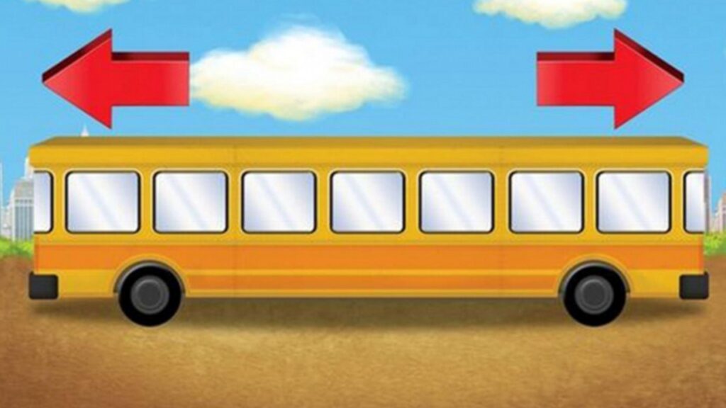 What is the Average Size of a School Bus? - Talk So Much